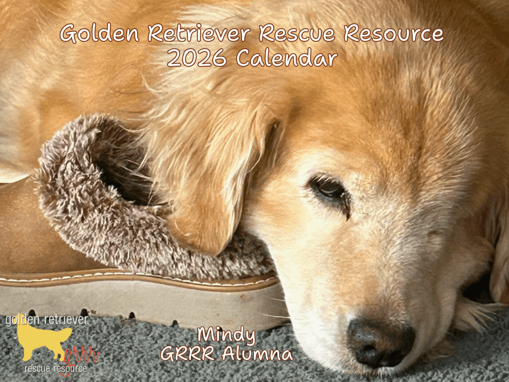 GRRR Calendar - Adopt A Golden Retriever | Golden Retriever Rescue Resource